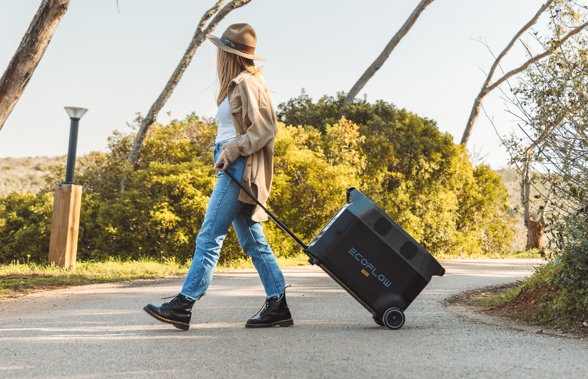 Delta Pro Portable Power Station | GoSun Solar