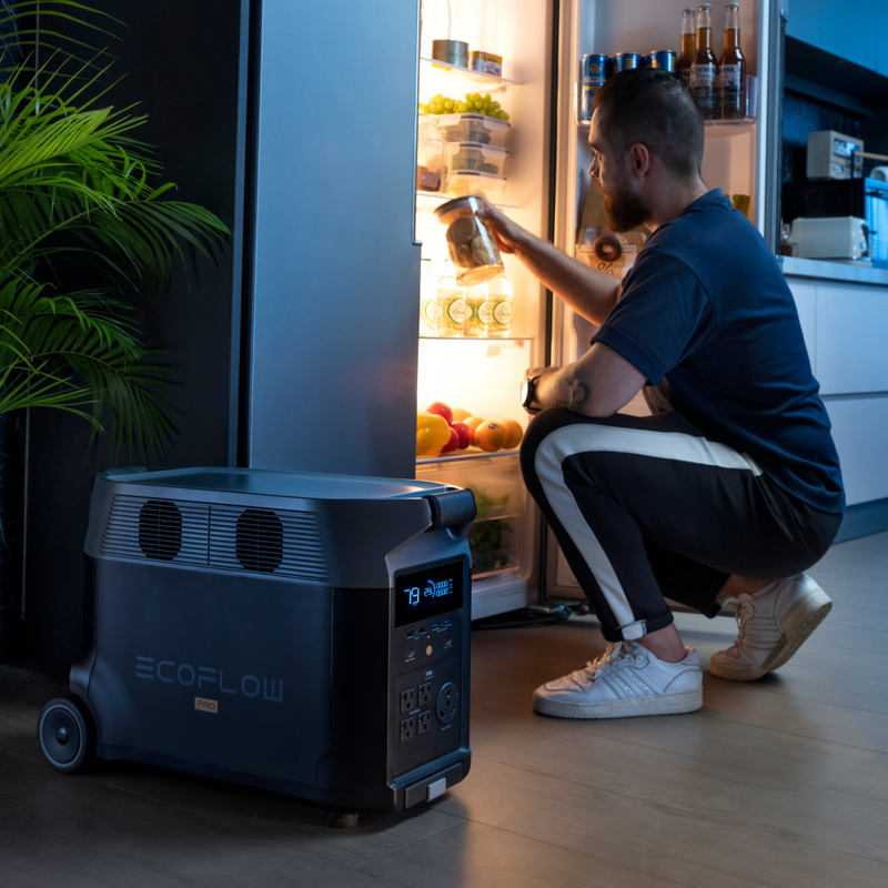 Delta Pro Portable Power Station | GoSun Solar