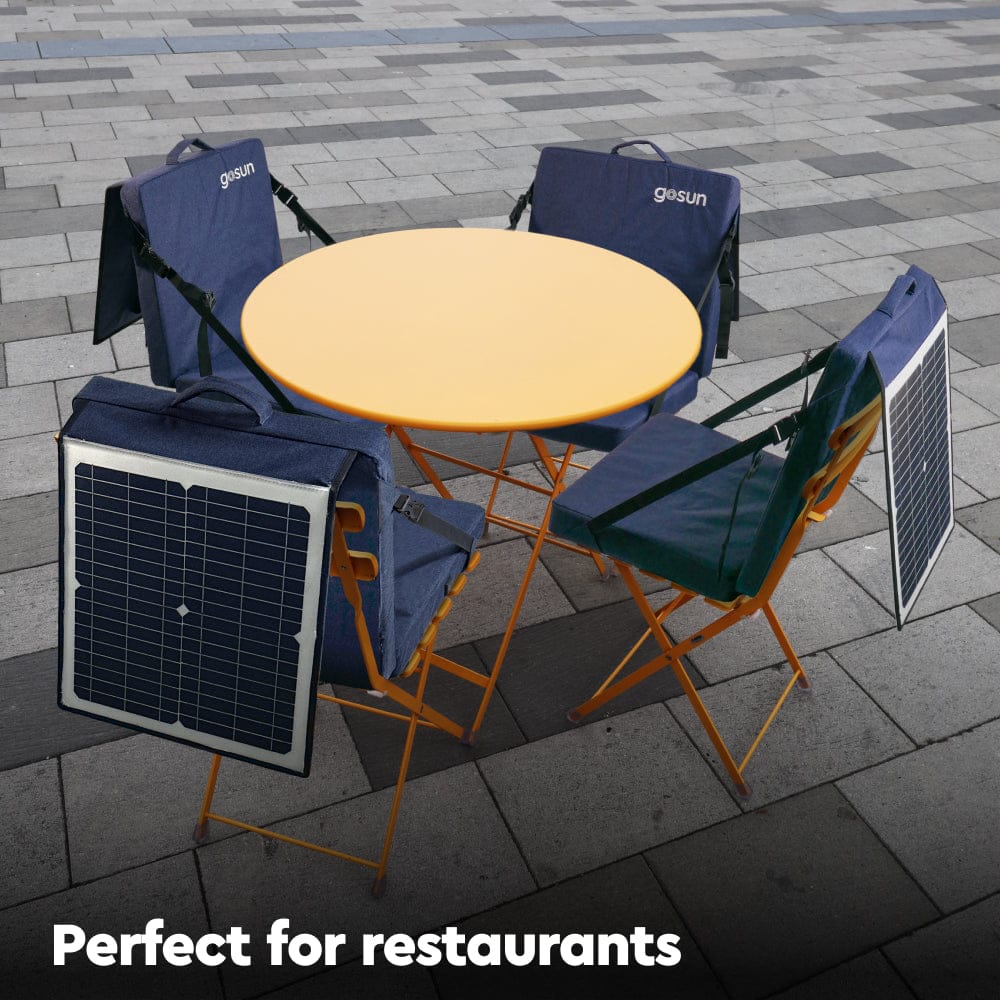 Solar Seat | Heated Seat: Closeout – GoSun