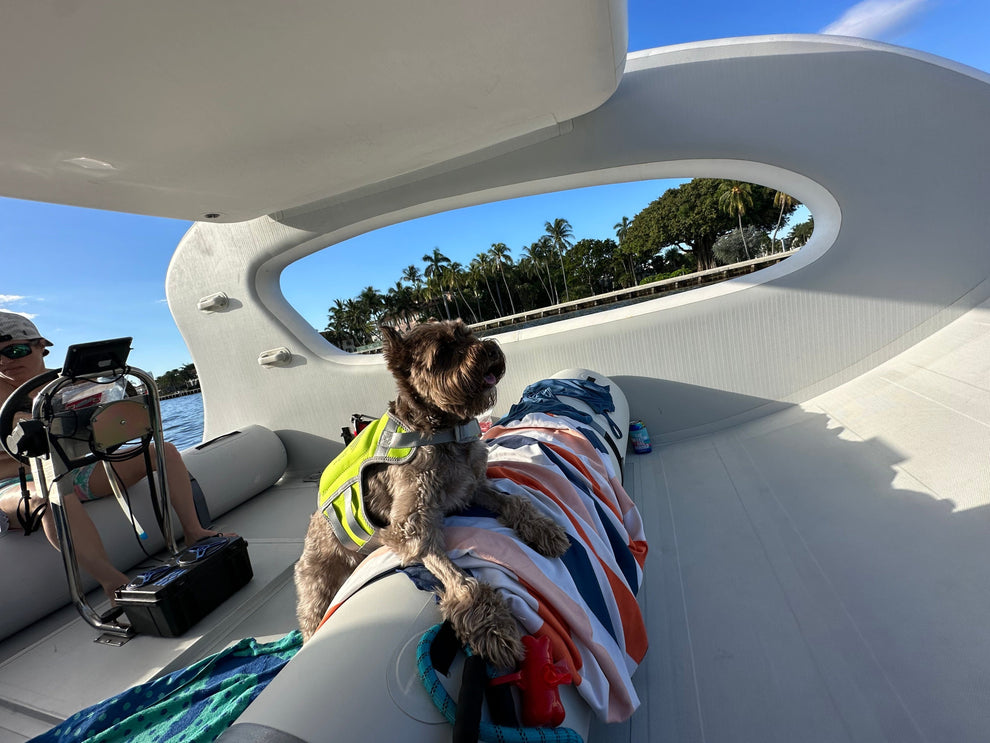 GoSun Elcat Splash | Solar Powered Electric Boat